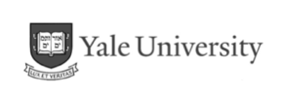 Glassmorphism CSS Generator | SquarePlanet | SquarePlanet